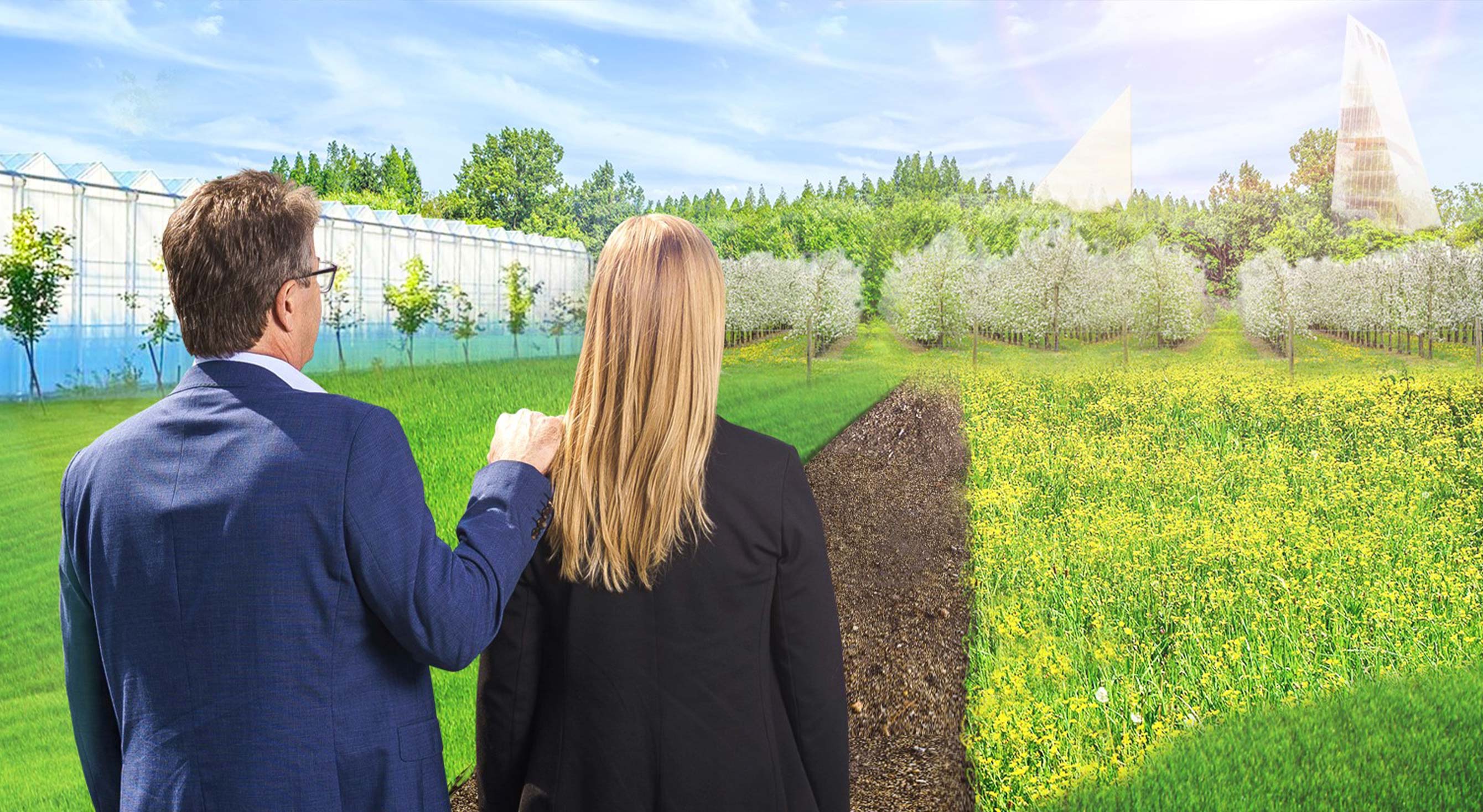 We are fruit and vegetables – Frutura