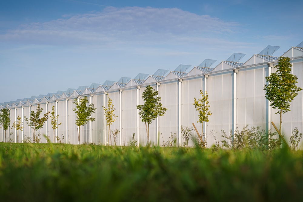 We set new ecological standards – Frutura