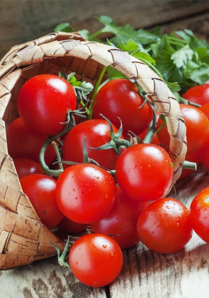 We are fruit and vegetables – Frutura